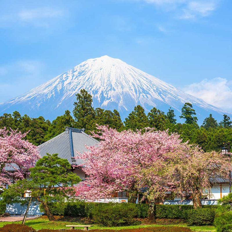 Fuji Scenery Roller Blind | Bolton Blinds